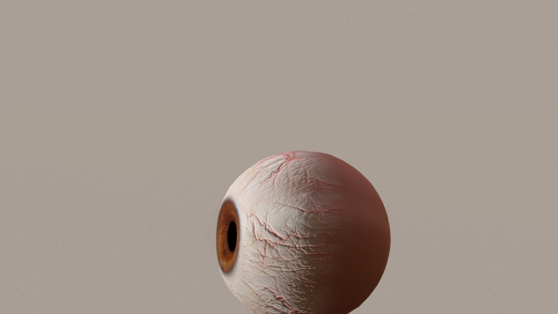 human eye - Download Free 3D model by owner4 [62cf7da] - Sketchfab