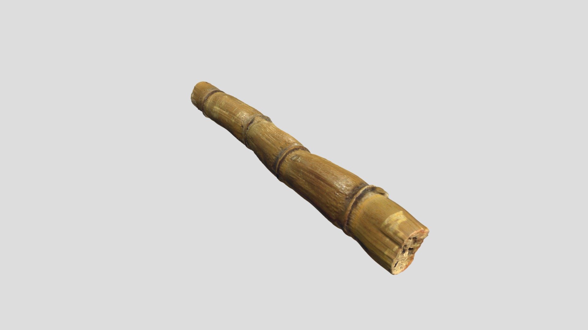 Raw Sugarcane - 3D model by Aberdeen City Libraries ...