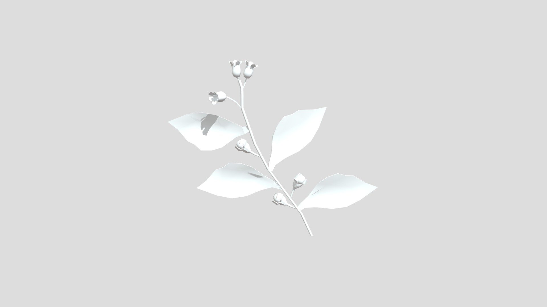 Deadly Nightshade - Download Free 3D model by Lucy Weller (@Wistarian ...