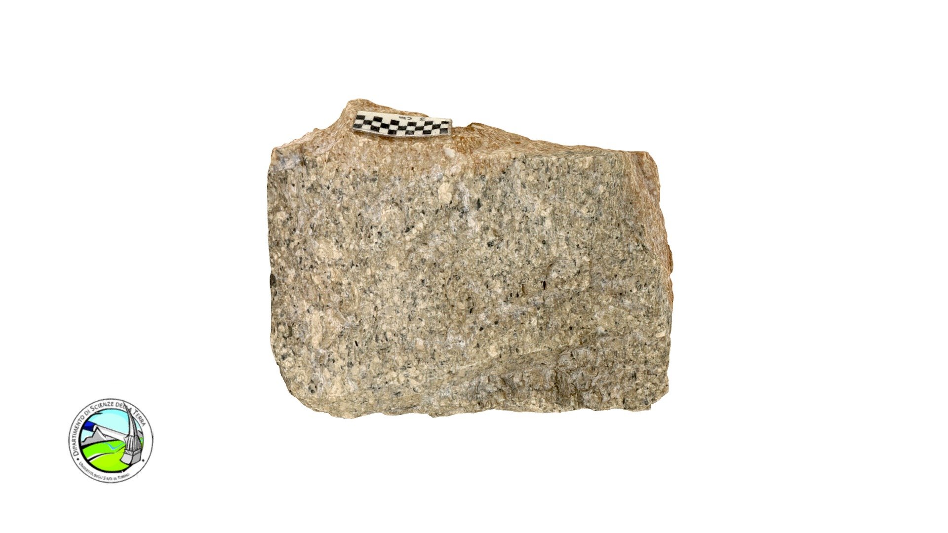 S27 - Rudstone a bioclasti - 3D model by Dipartimento di Scienze della ...