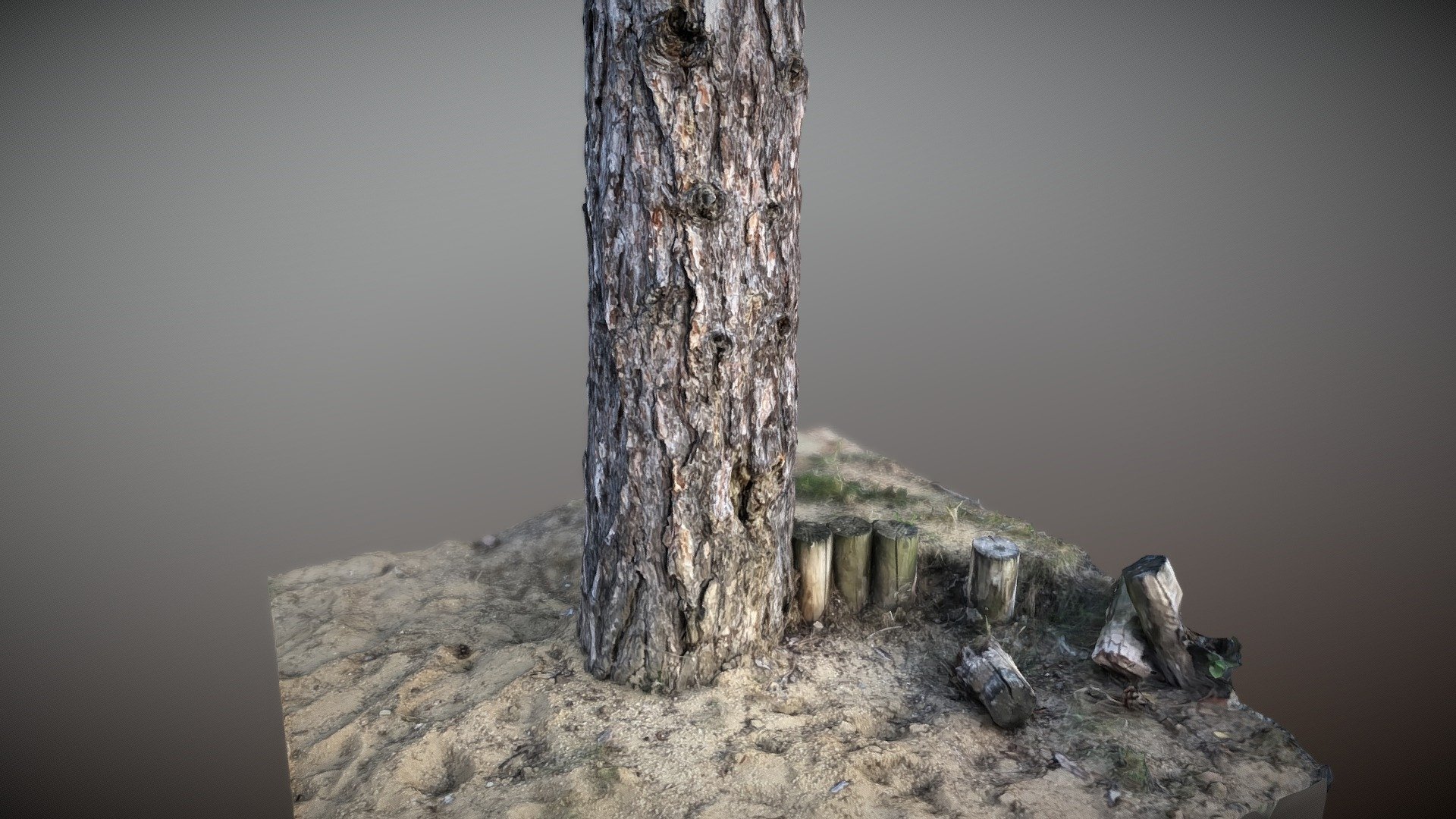 Tree Trunk - Download Free 3D model by mitakazoom [62dba8f] - Sketchfab