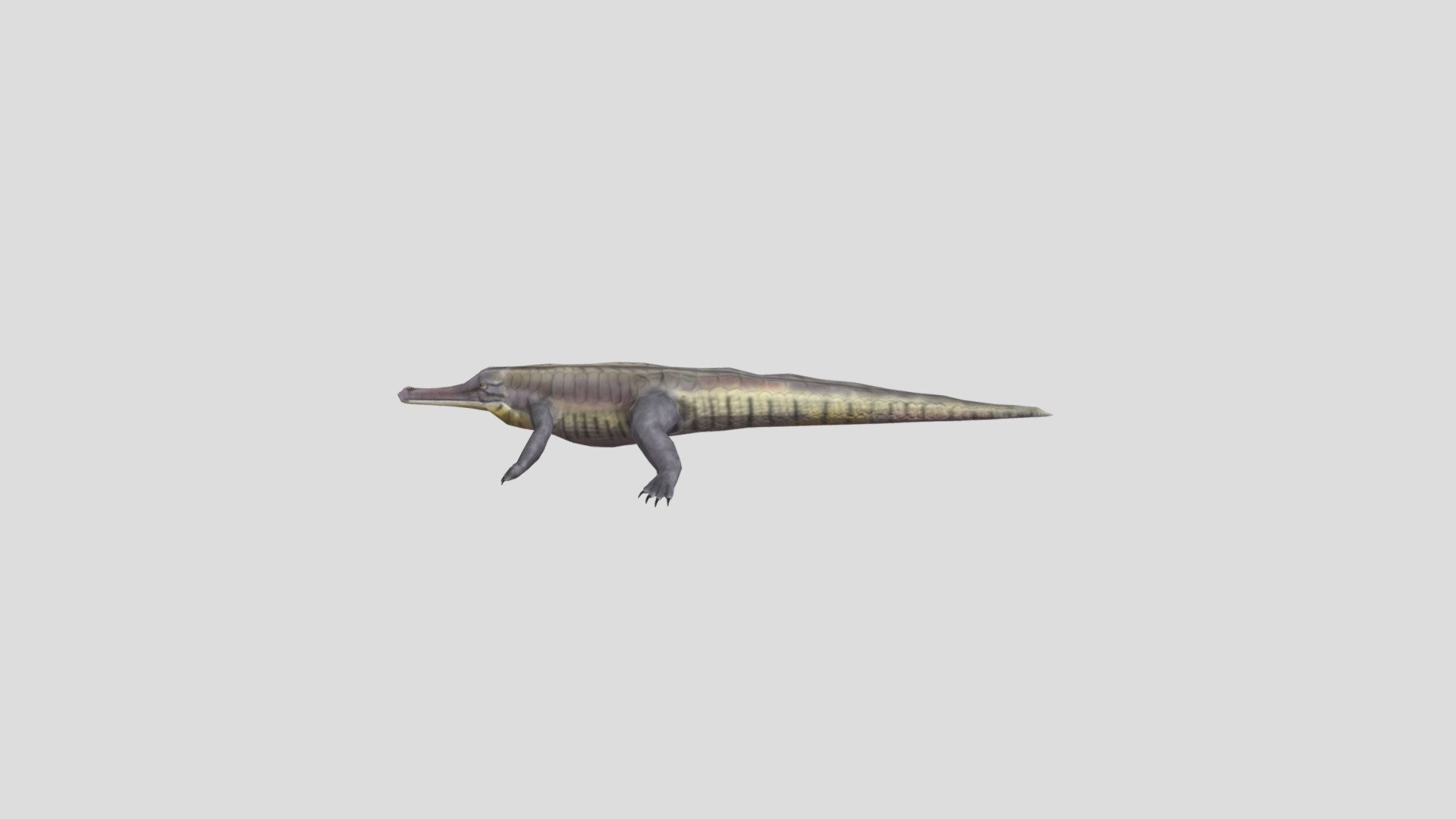 Machimosaurus Variation-2 - 3D model by creative.avl [62e0d6a] - Sketchfab