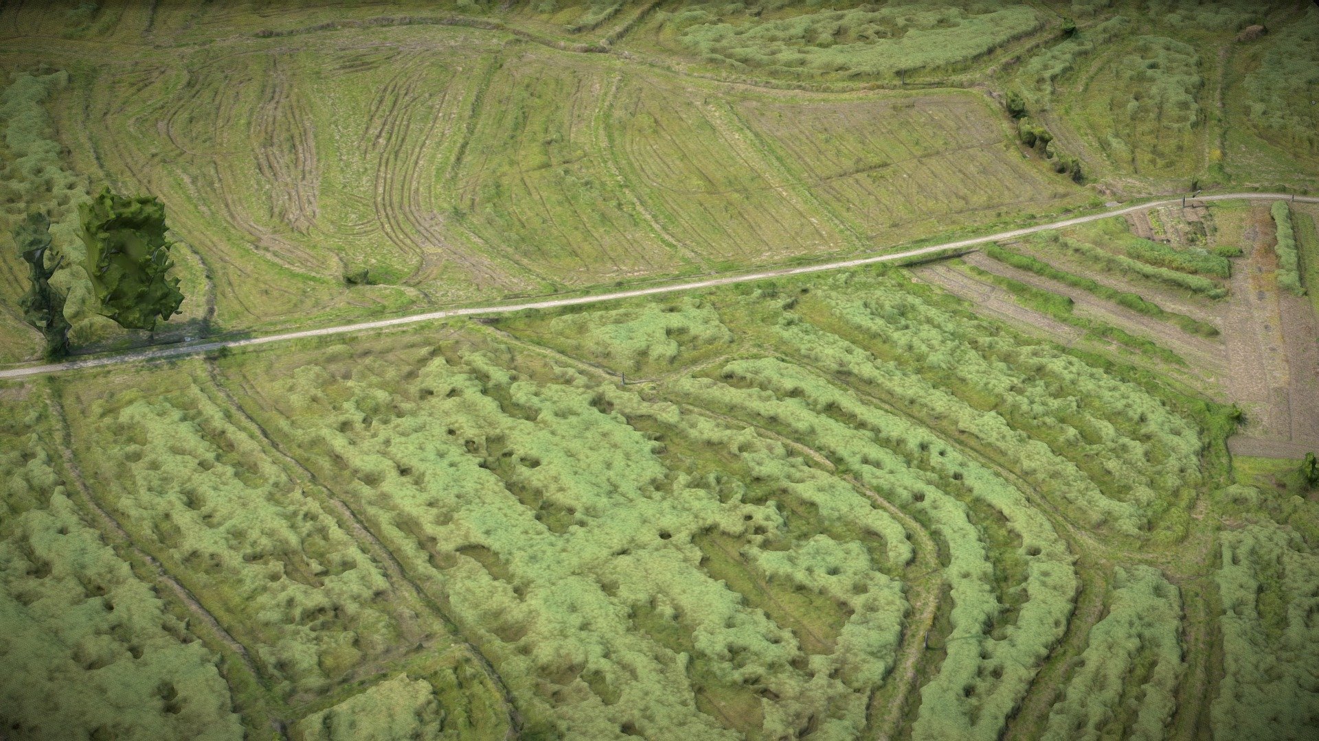 Terraced fields, farmland - Download Free 3D model by Metazeon [62e1d38 ...