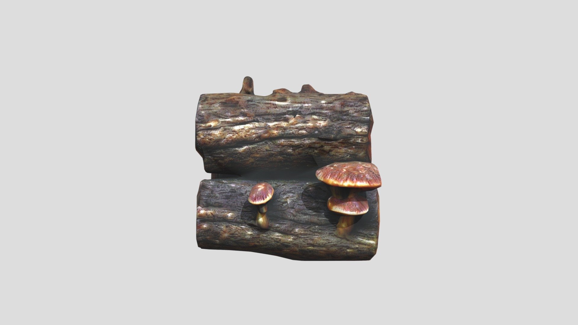 Old Log With Mushrooms L - Download Free 3D model by stefanorivera [62e2c04] - Sketchfab