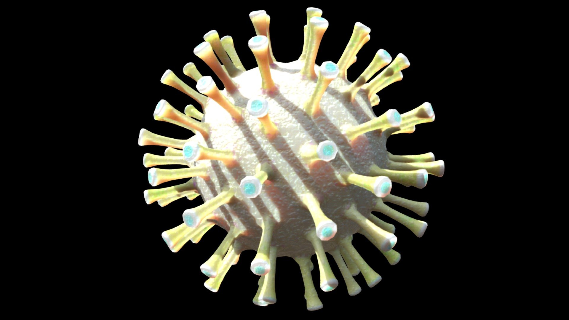 Corona Virus Covid 19 - Buy Royalty Free 3D model by zames1992 [62e3b13 ...