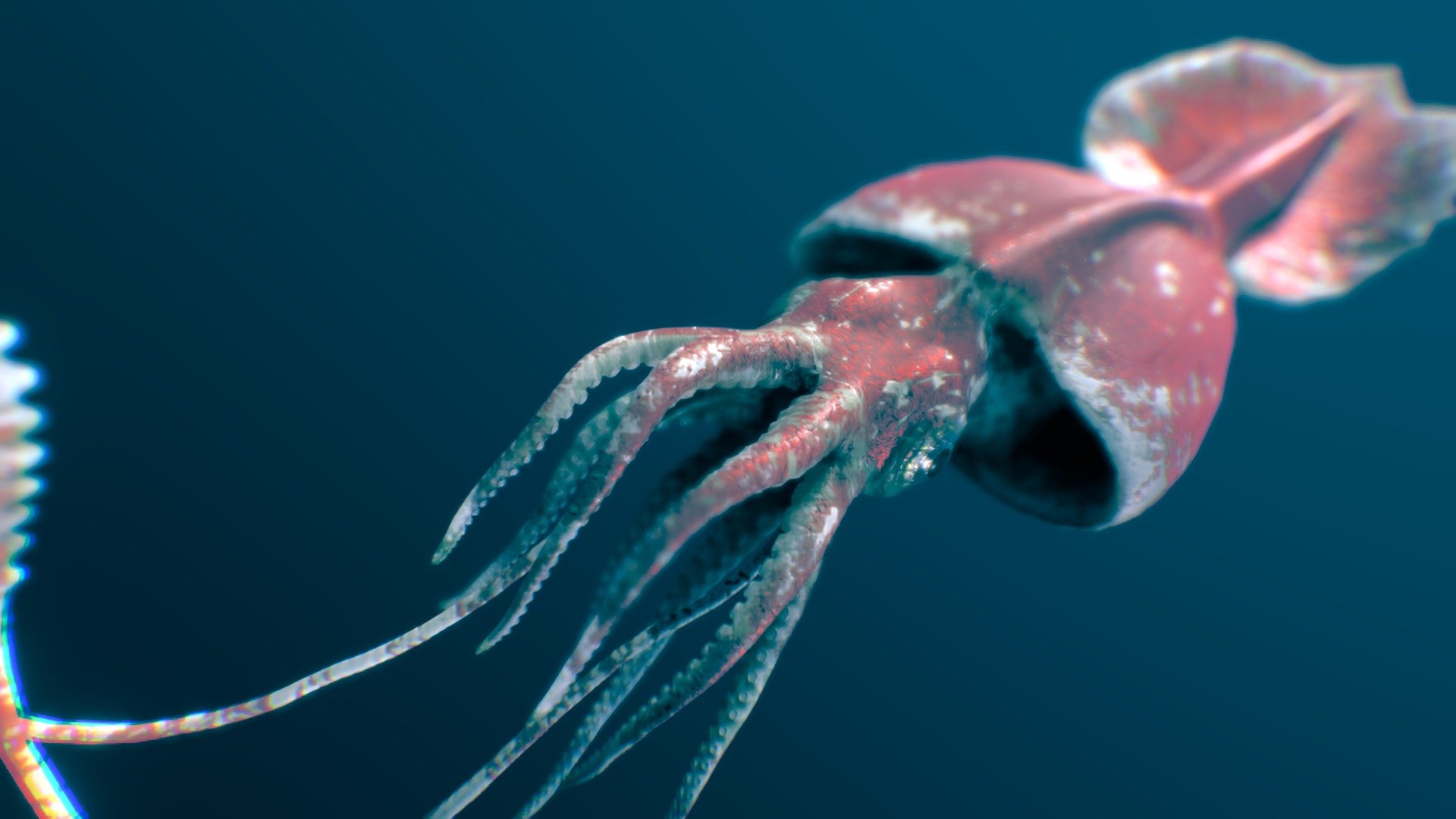 Colossal Squid - Buy Royalty Free 3D model by Nestaeric [62e7de8 ...