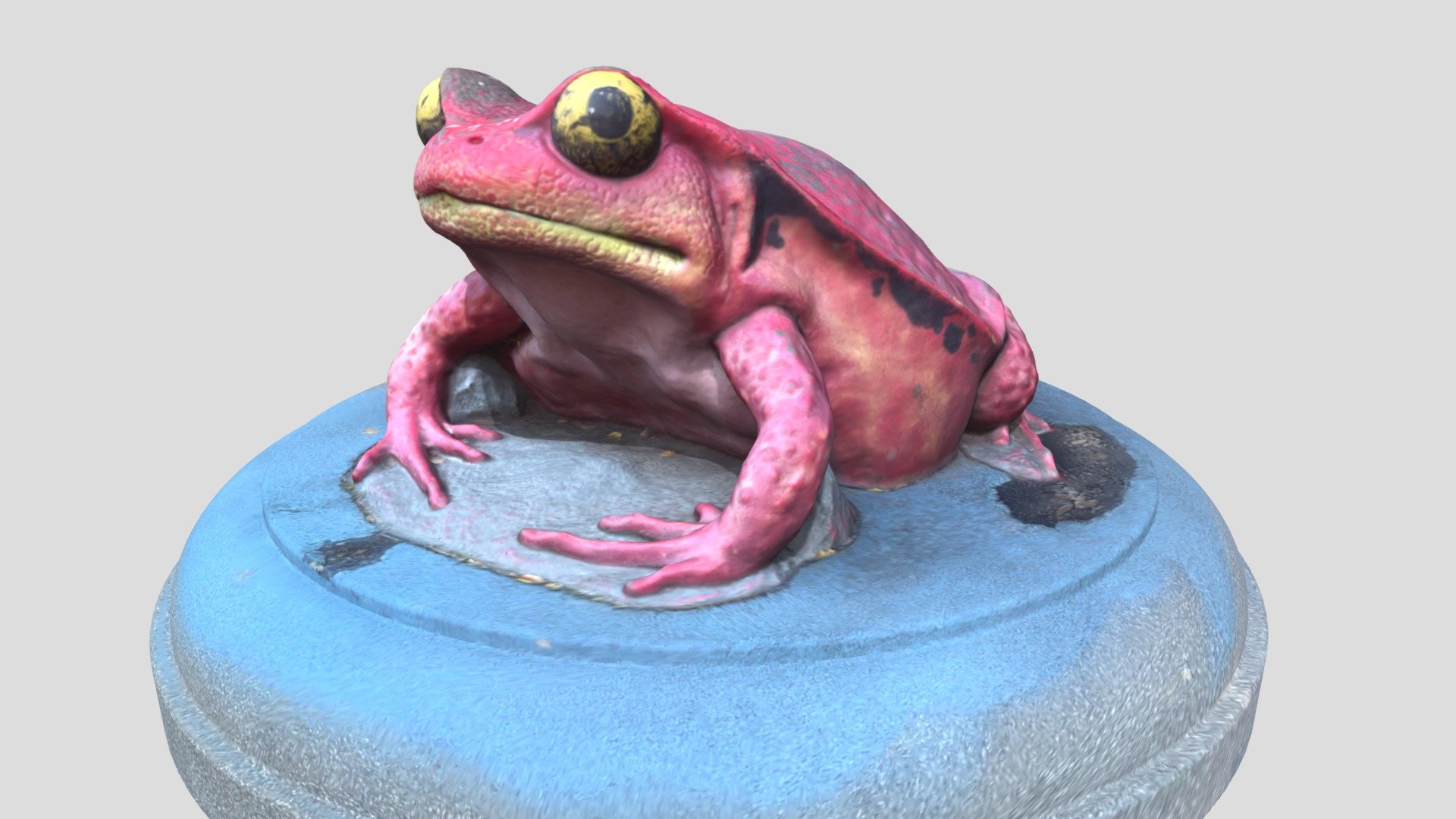 Big Pink Frog on a Pedestal - Download Free 3D model by MADD Designs ...