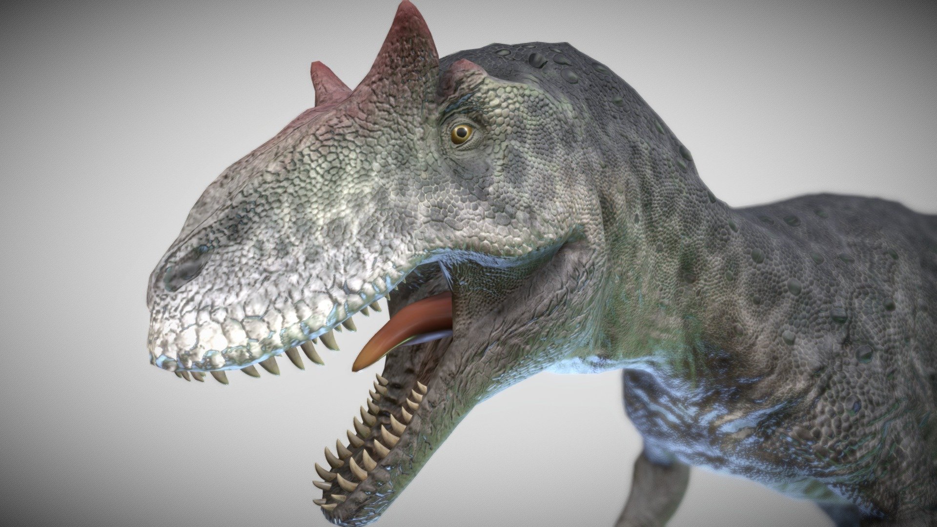Allosaurus King of the Jurassic - 3D model by robertfabiani [62f544b ...