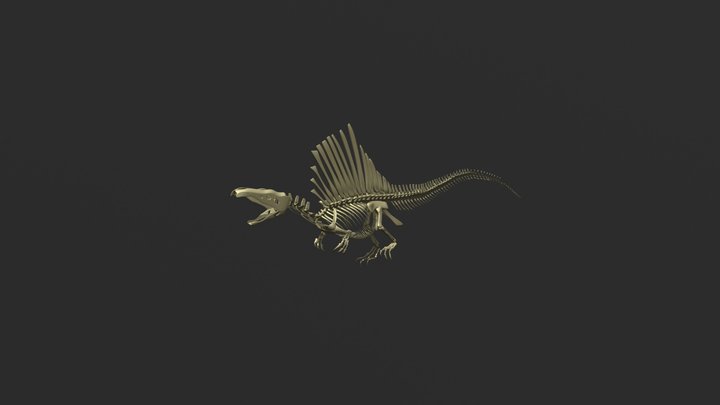 Spinosaurus-skeletons 3D models - Sketchfab