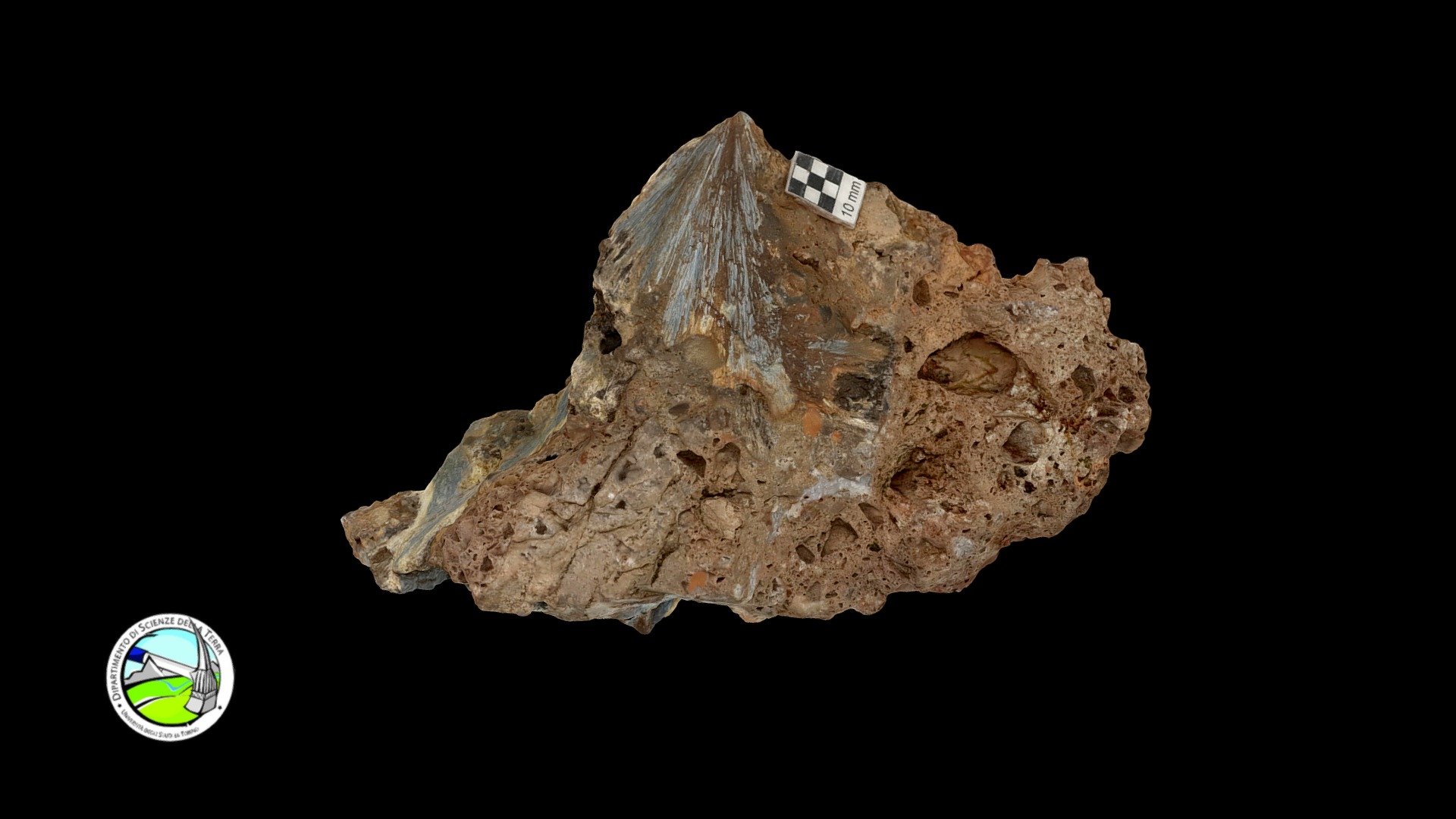 MH_43 - Calcare cavernoso mineralizzato - 3D model by Dipartimento di ...