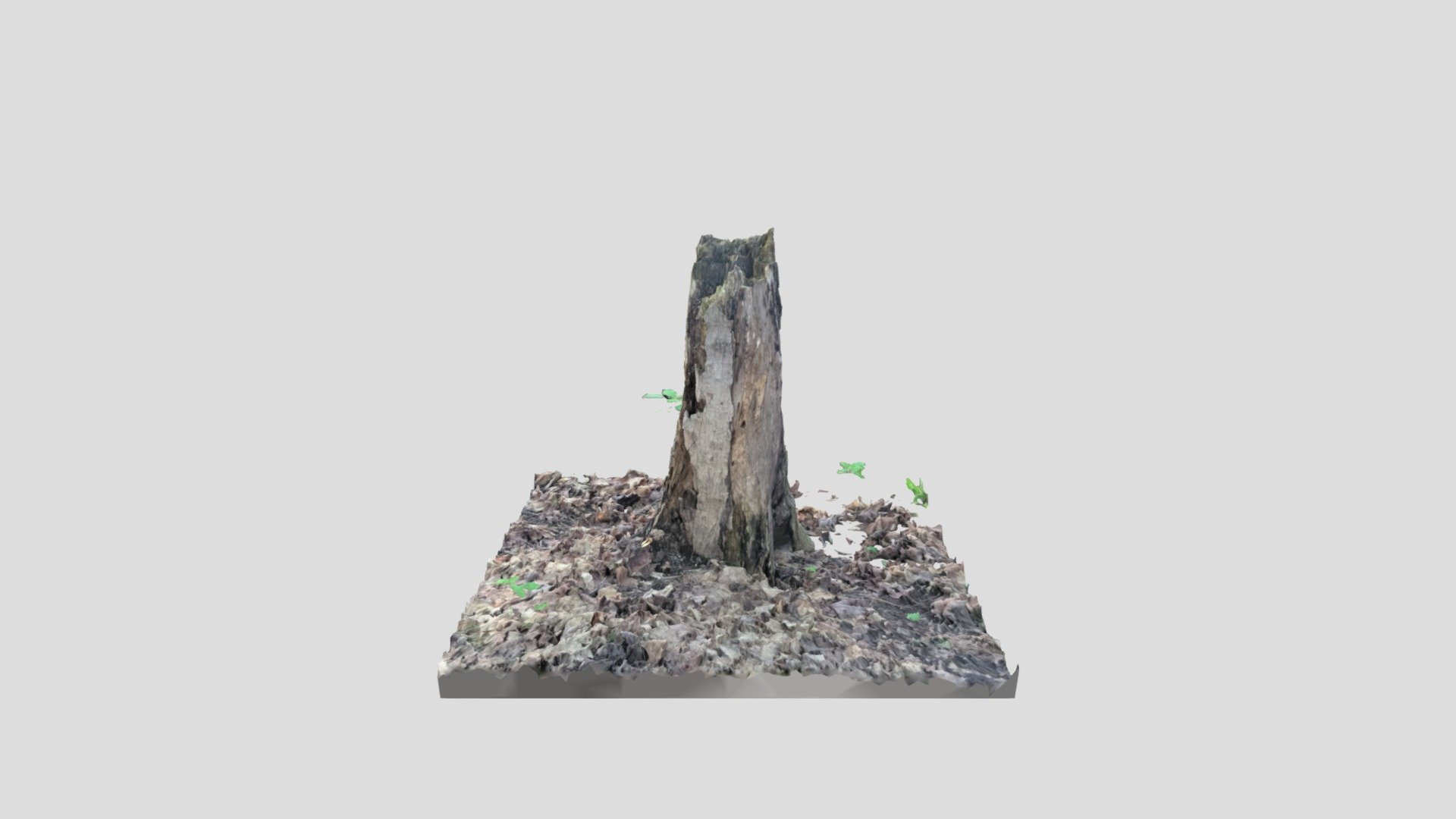 Tree stump at 3 Stage Trails - Download Free 3D model by sfsen [6307e33 ...