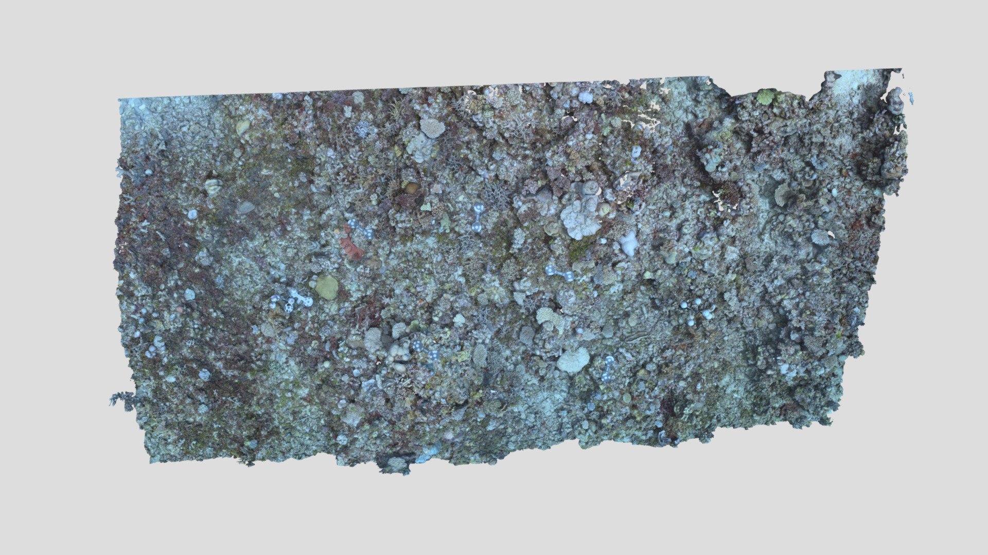 Davies_FR1D_P4_202101 - 3D model by EcoRRAP (@AIMSEcoRRAP) [630e7d2 ...