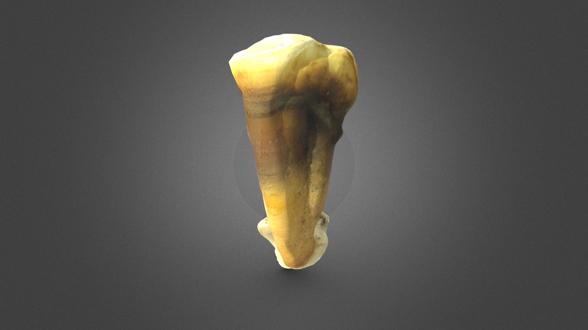 256IND6Prueba3 - 3D model by andres.bande [6324da2] - Sketchfab
