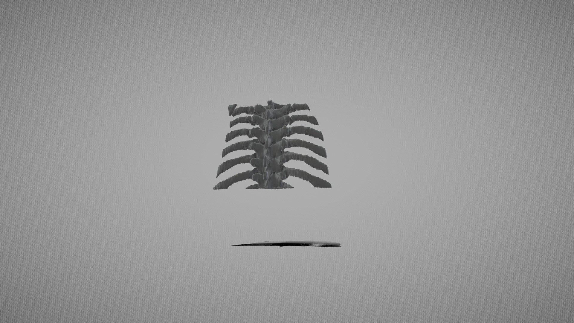 Segmentation_Segment_1 - 3D model by lipyphil [63283ca] - Sketchfab