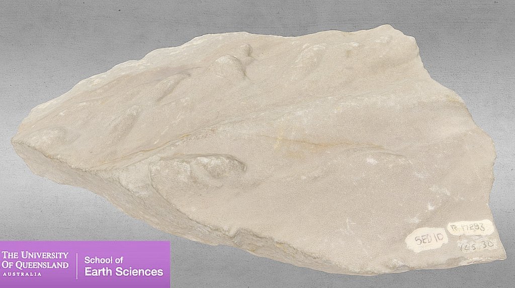 Sedimentary Structures - Flute Casts 2 - 3D model by nate_siddle (@nate ...