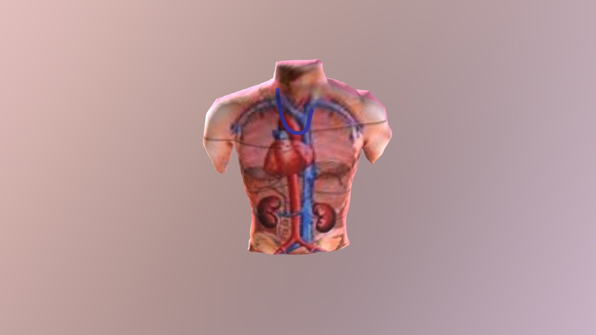 Organ - 3D model by suparso [63303d4] - Sketchfab