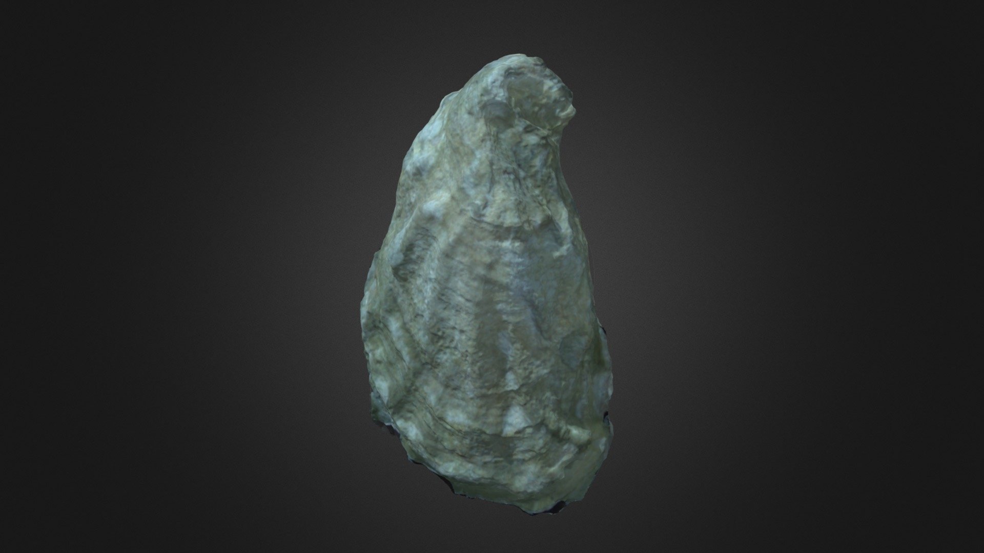 Oyster Scan 1 Simplified Download Free 3d Model By Simon Simono