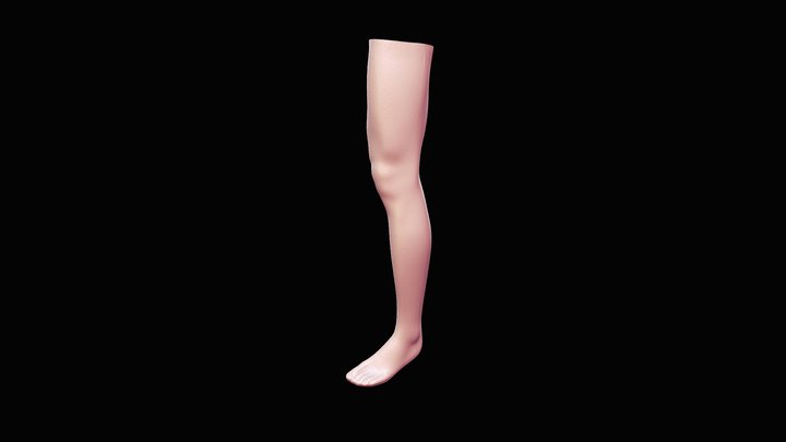 Legscan 3D models - Sketchfab
