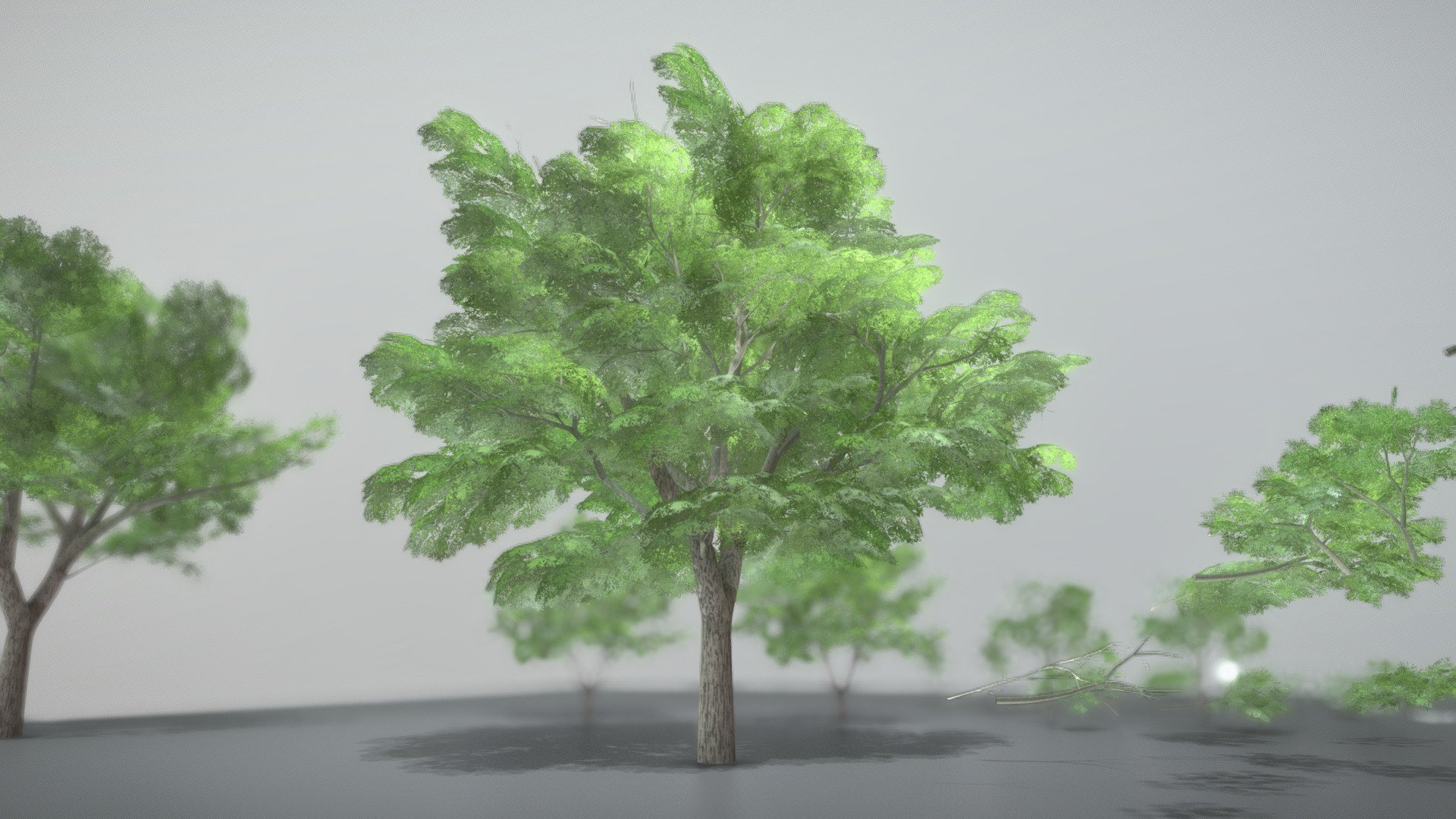 Low-Poly Walnut Trees (WIP-5) - 3D model by VIS-All-3D (@VIS-All ...