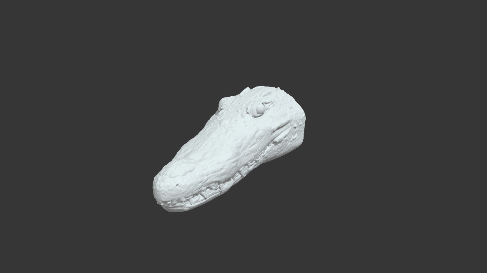 Crocodile 3D Model - 3D model by Blazey06 [633b718] - Sketchfab