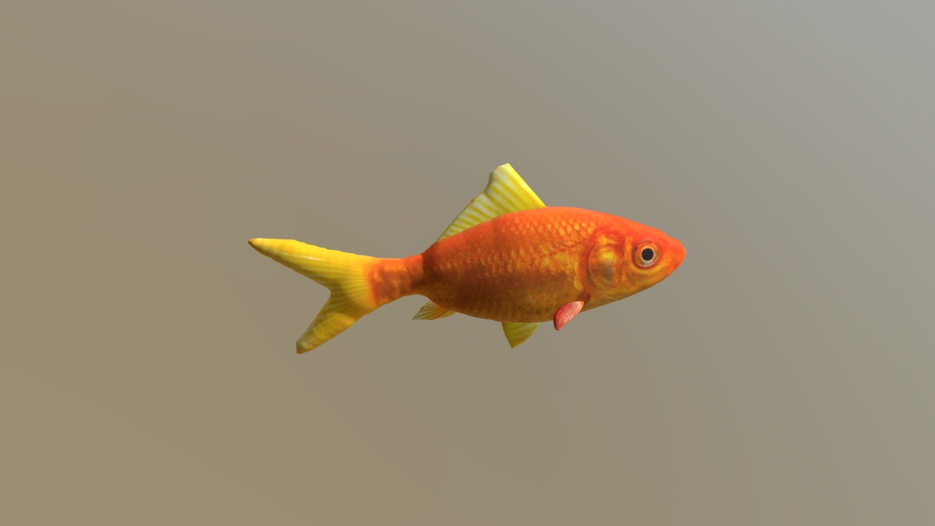 Sirip Ikan - 3D model by Budiyarto (dyto) (@dyto) [633c69c] - Sketchfab