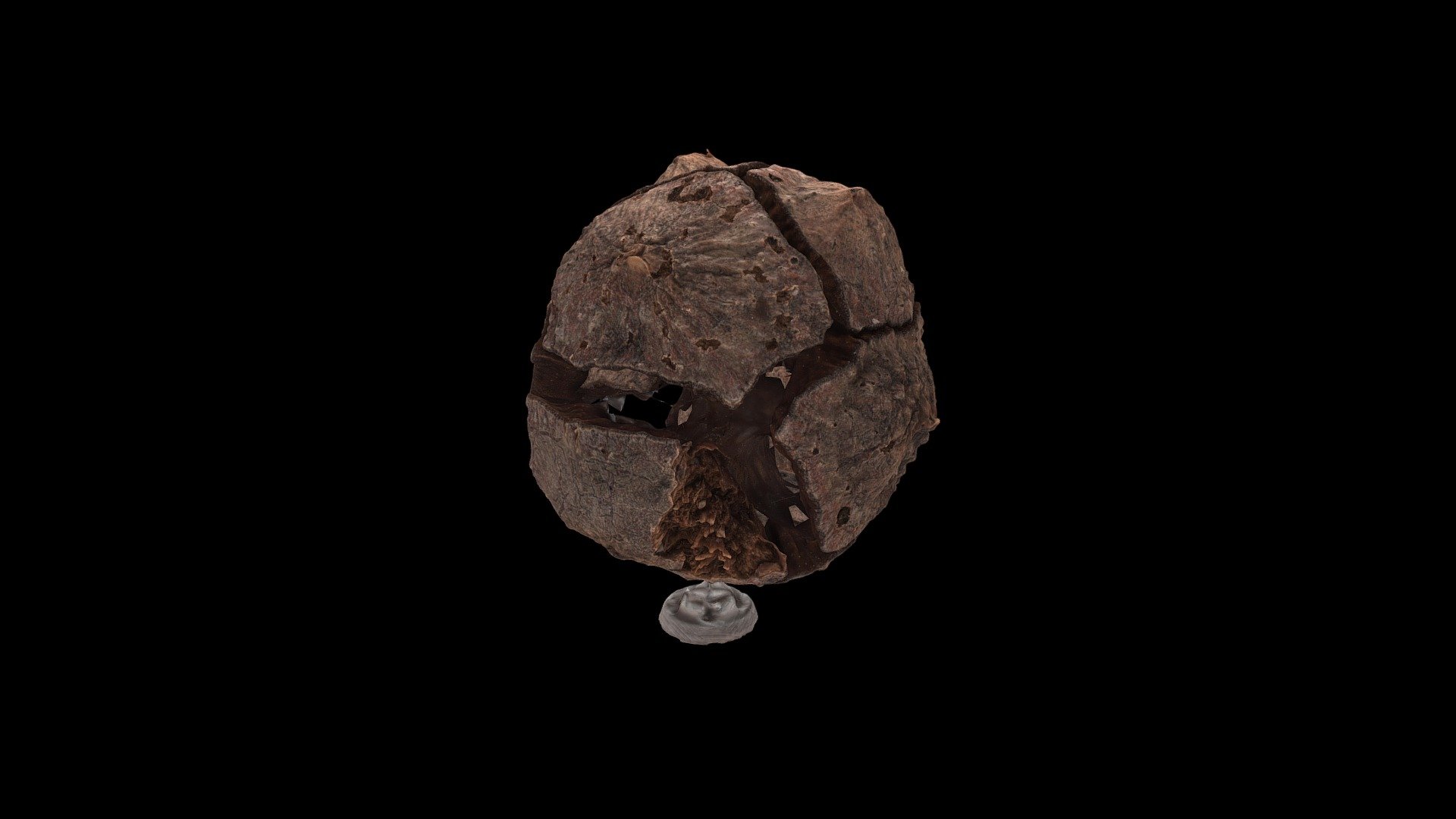 Seed Pod - 3D model by Rob Moore (@robmoore4812) [6344c85] - Sketchfab