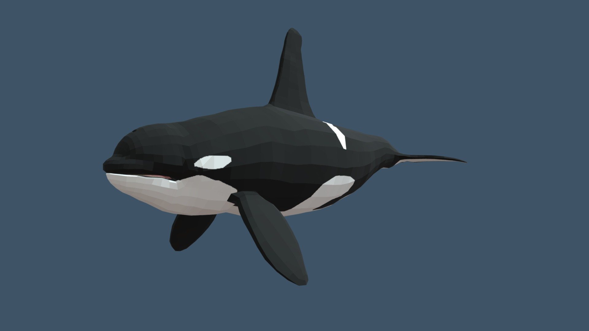 Orca - 3D model by josluat91 [634d2cf] - Sketchfab