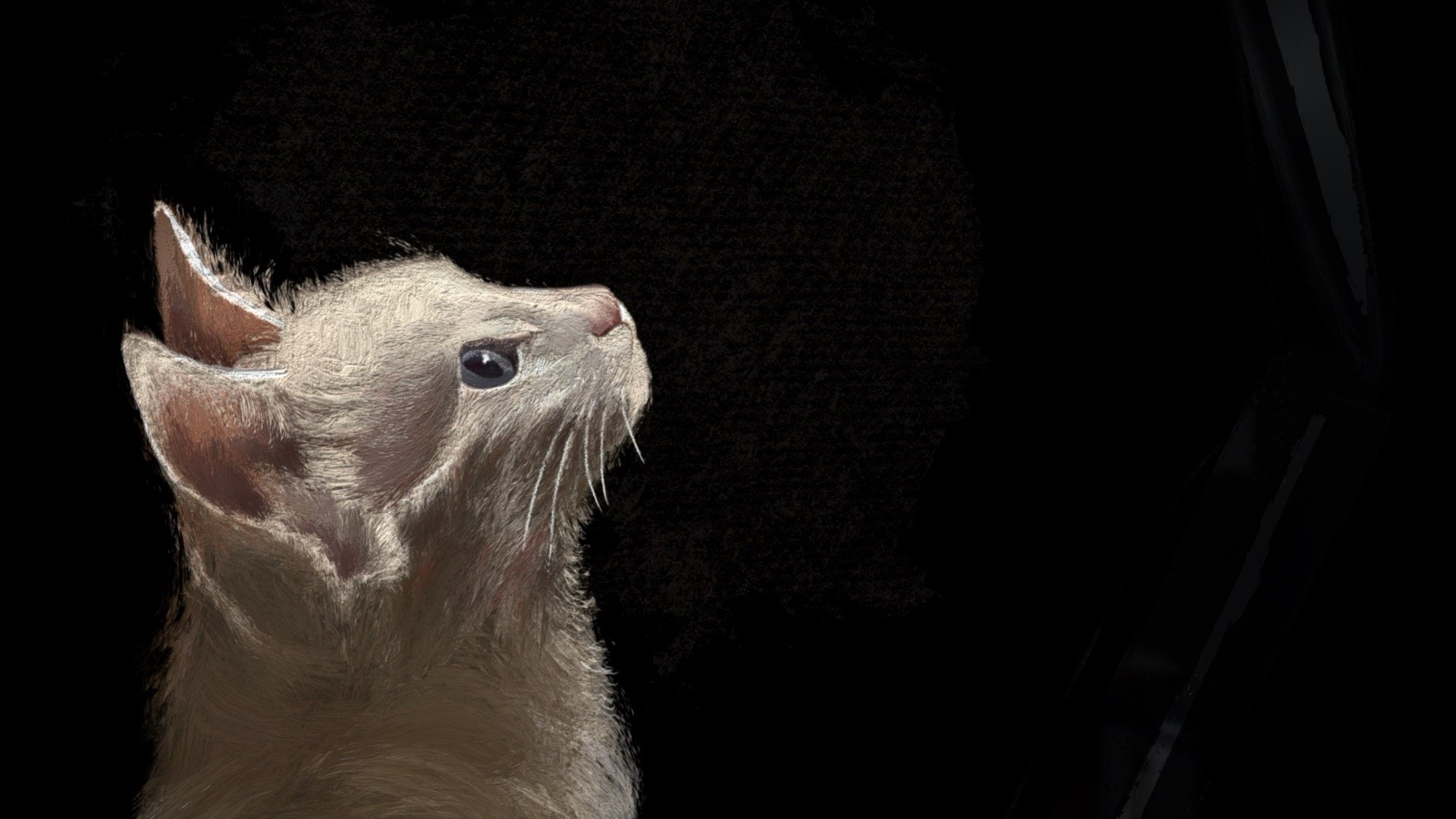 Portrait of a Cat Looking up - Buy Royalty Free 3D model by Sameer ...