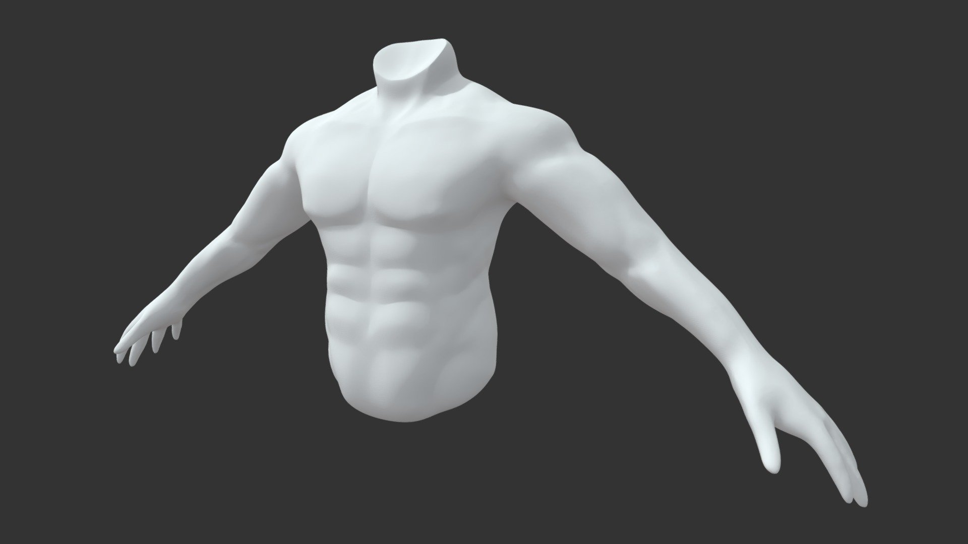 Male Torso And Arms 1hr 50min - 3D model by JackamoryWIP [6357d06 ...