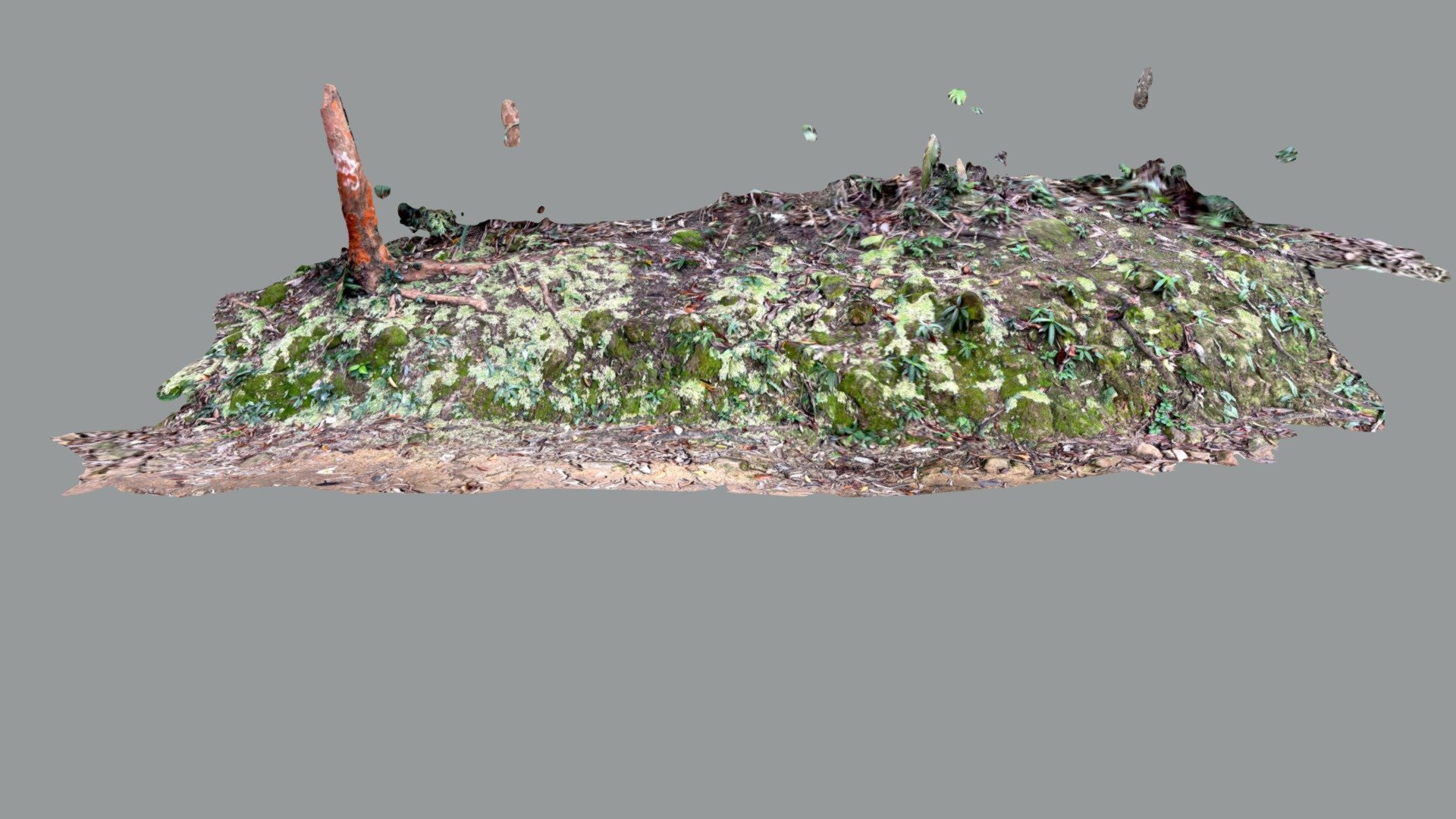 Moss - Download Free 3D model by hinleung [635918c] - Sketchfab