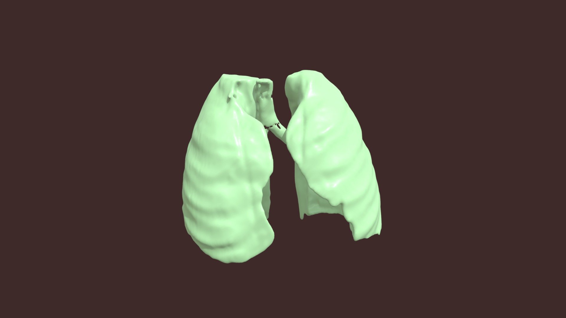 Segmentation_lungs - 3D model by montescaro [635aec2] - Sketchfab