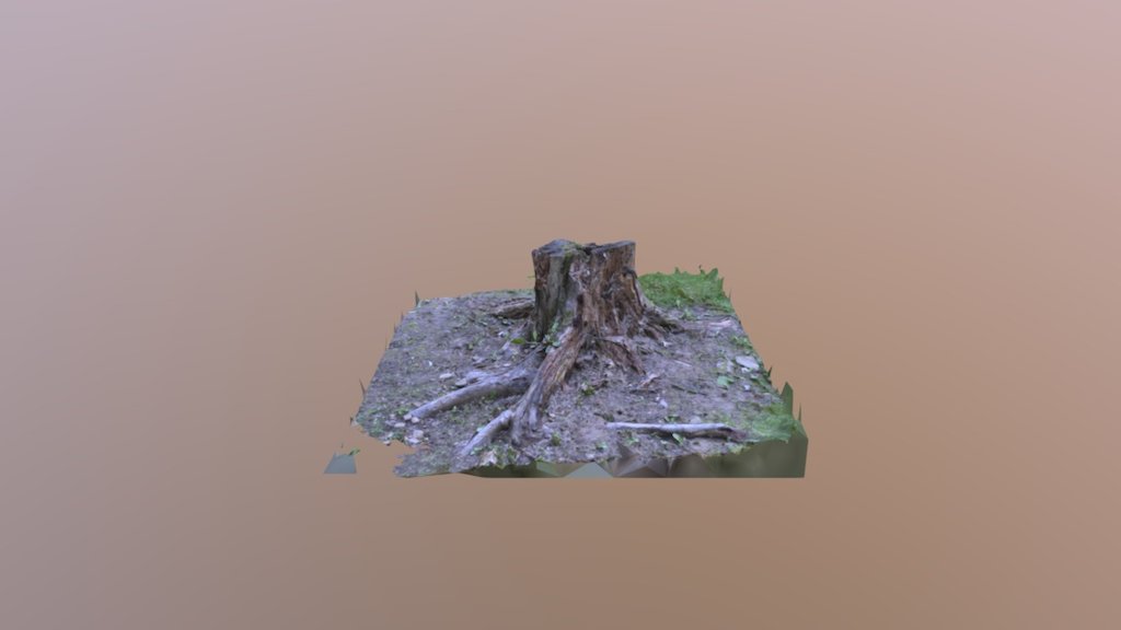 Stump 2 - Download Free 3D model by pavus [635baf2] - Sketchfab