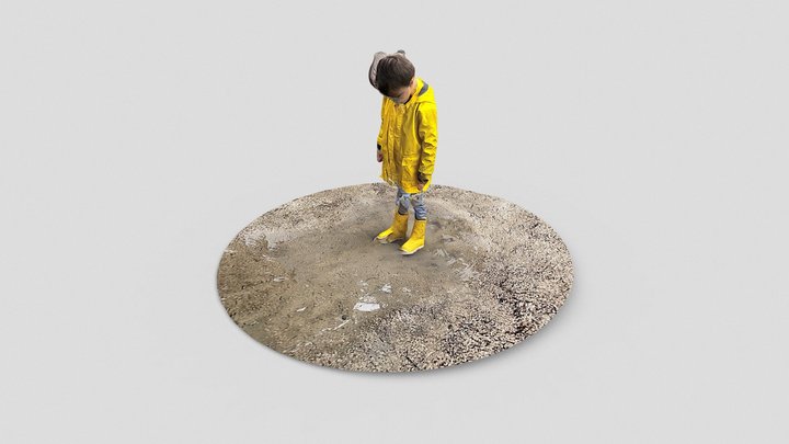 Puddle 3D models - Sketchfab