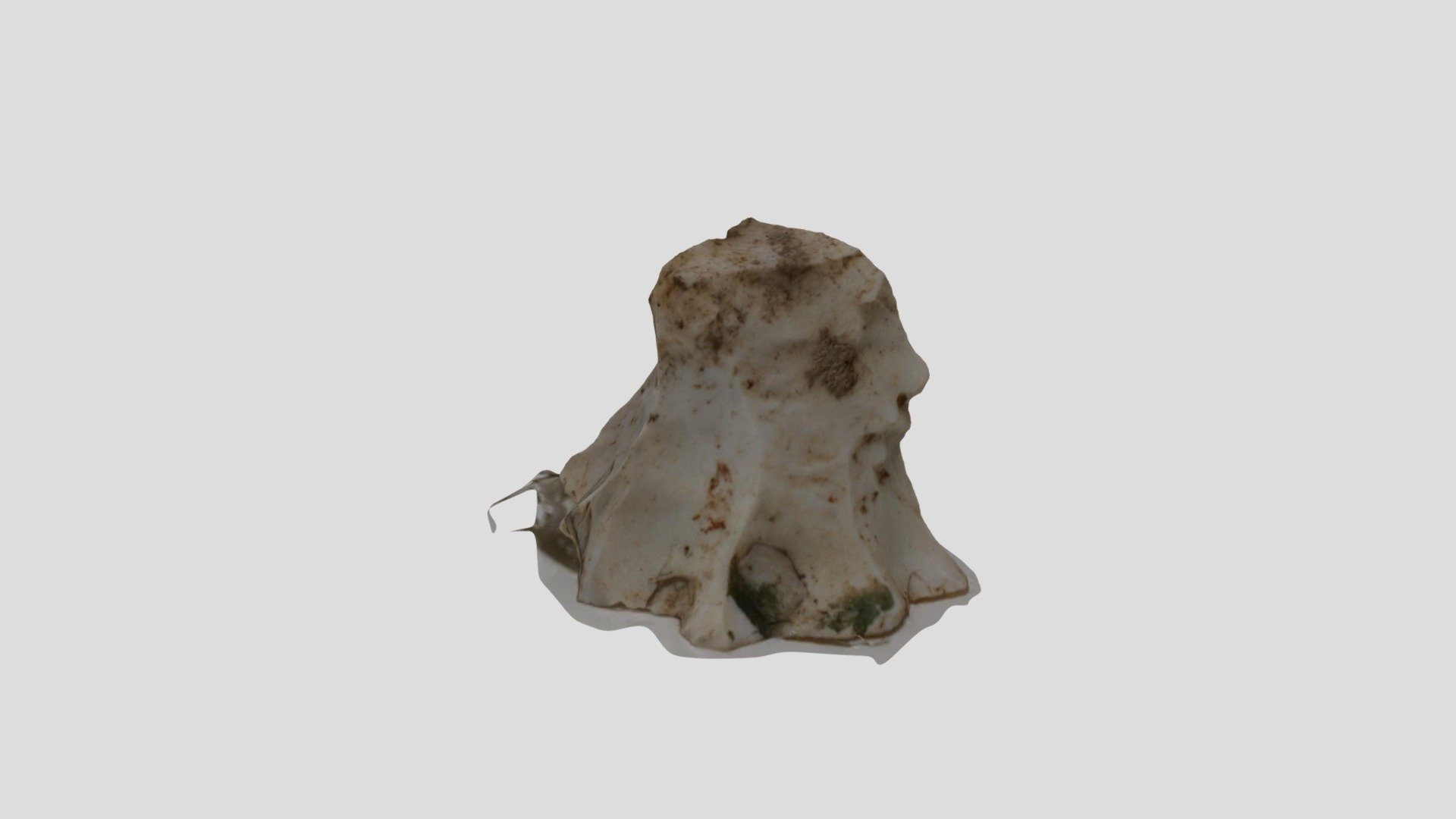 Flint Rock - 3D model by jc196643 [6363ed8] - Sketchfab