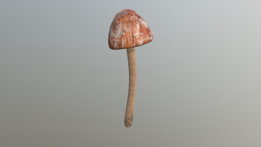GART_MUSHROOM_THIN_07 - 3D model by peijee [636b20c] - Sketchfab