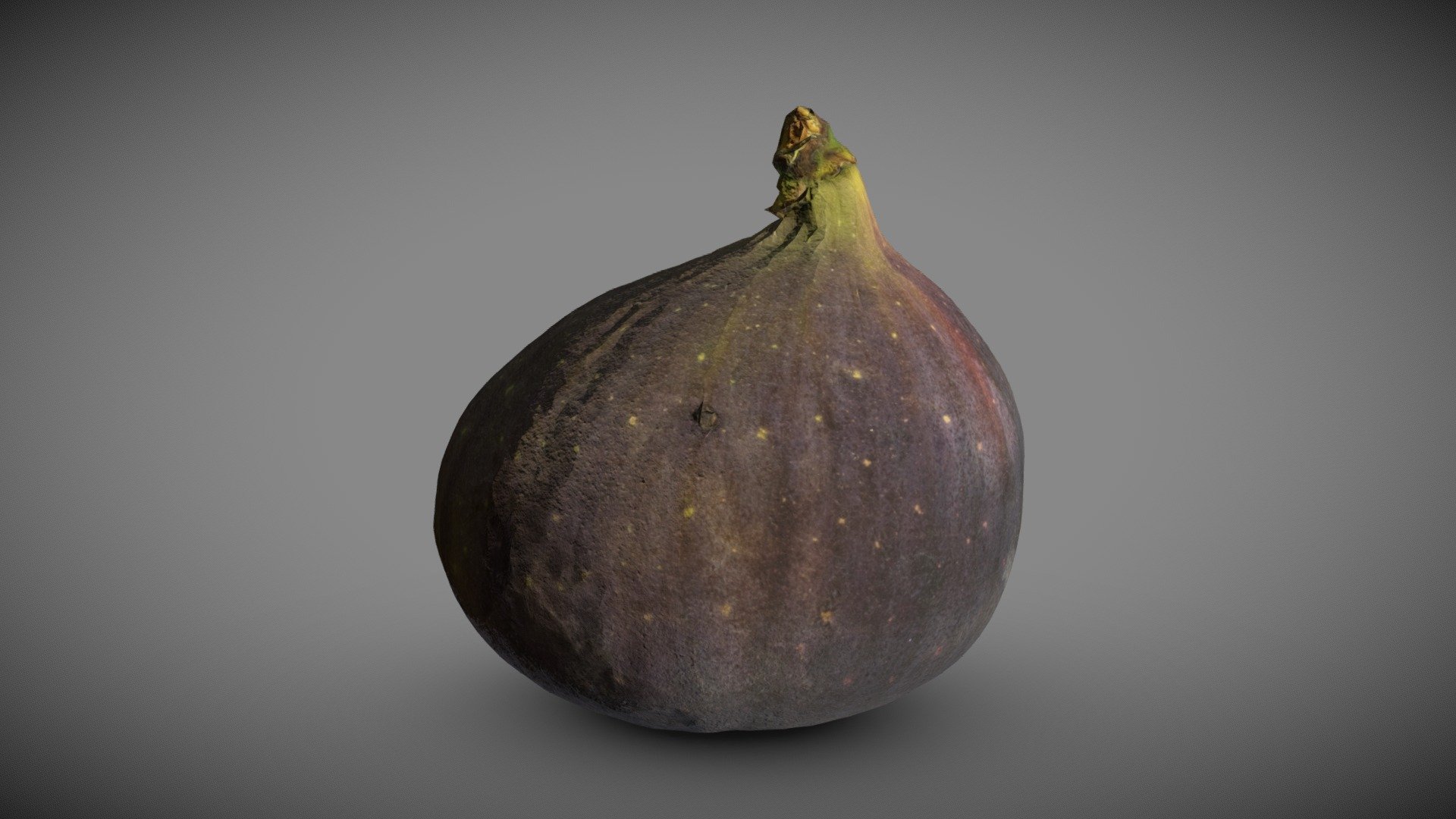 Fig - Buy Royalty Free 3D model by Eydeet [636b5ff] - Sketchfab Store