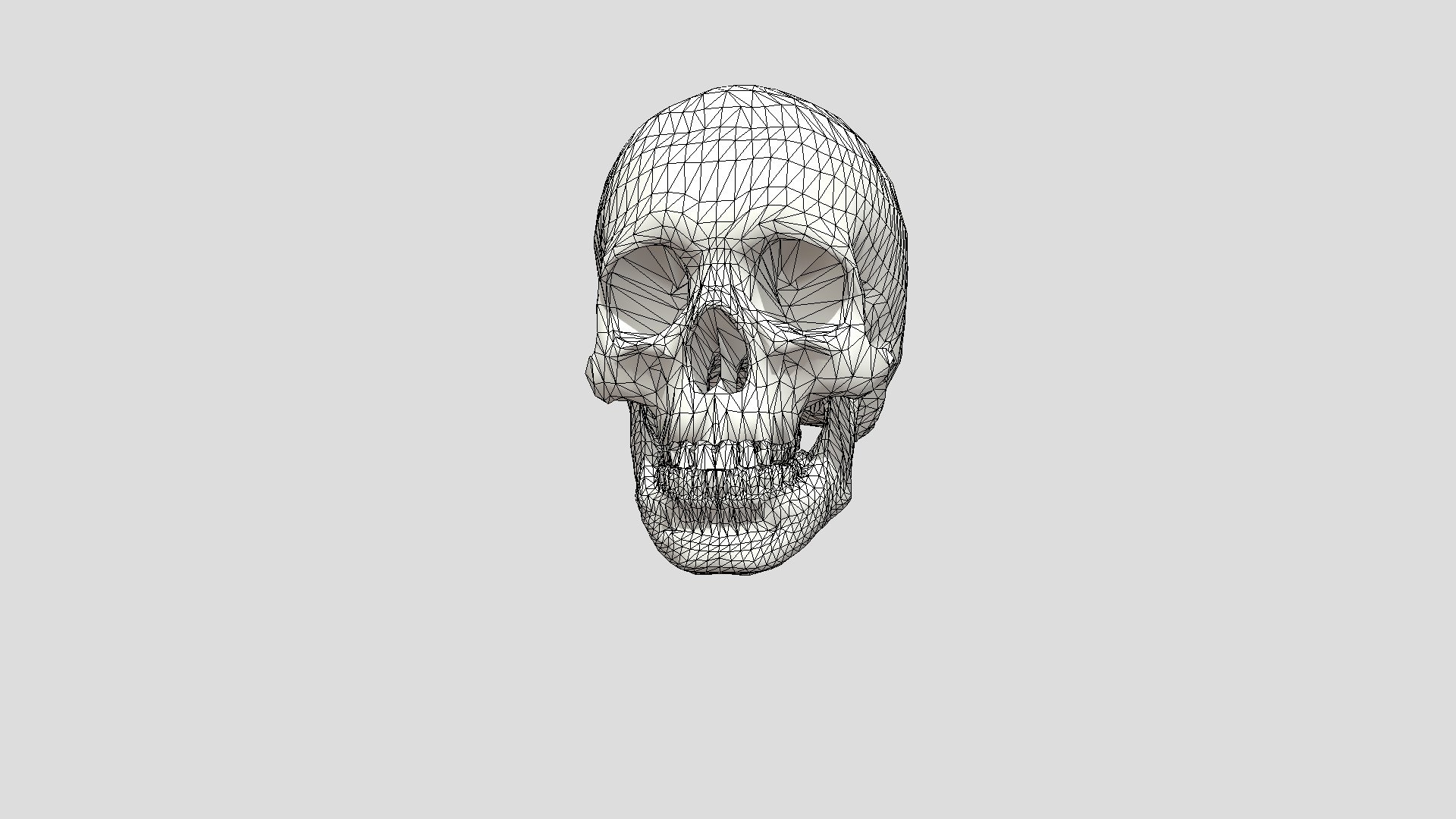 Cráneo humano - 3D model by vereniceacalo [636b82a] - Sketchfab