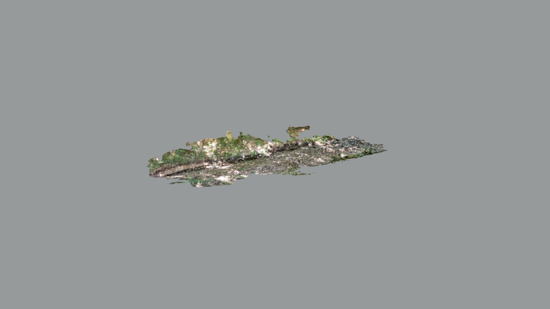 Forest stream bed 1 - Download Free 3D model by zoranradulovic [636e29e ...