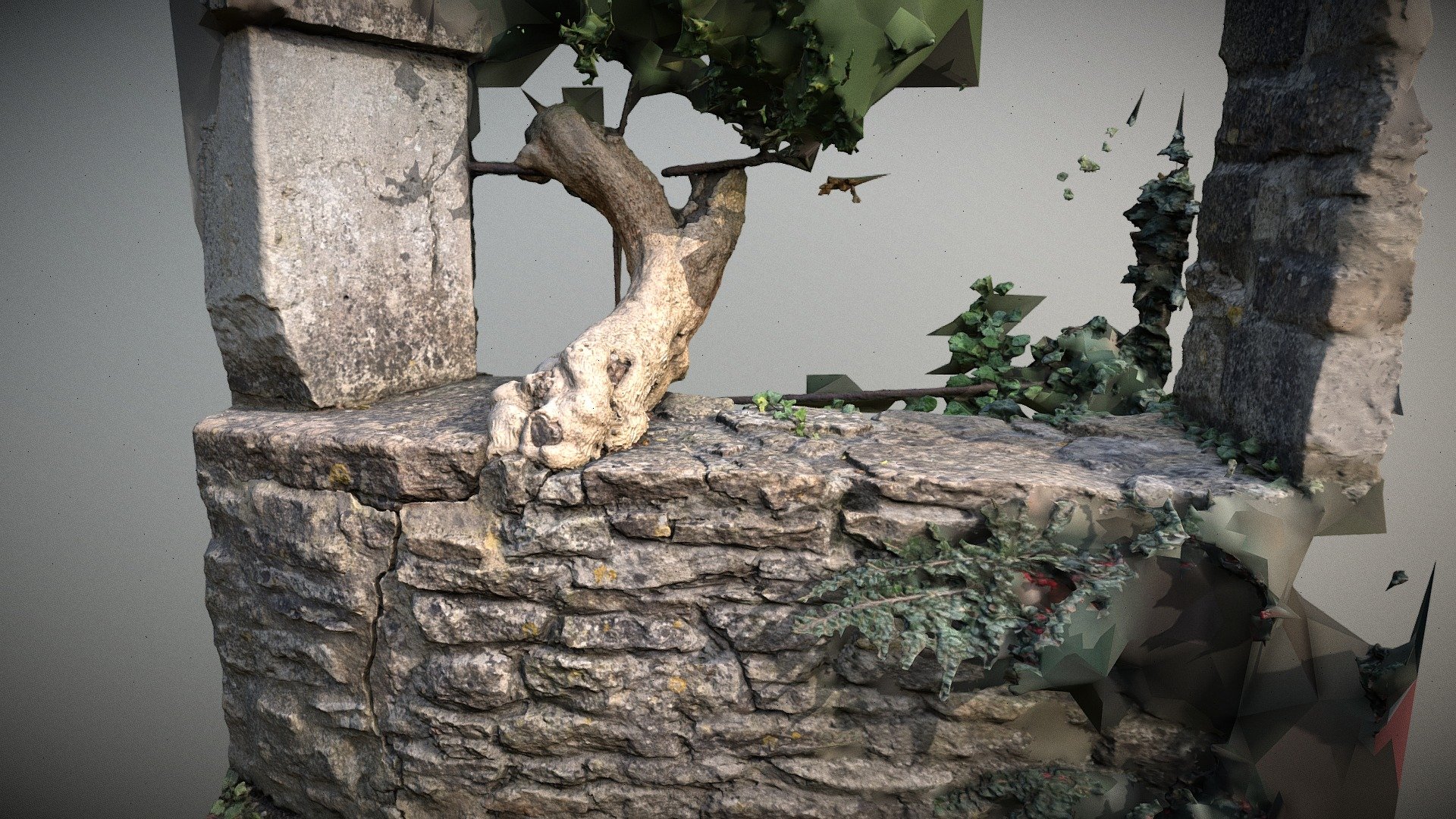 Tree in Stone Wall - Buy Royalty Free 3D model by DAC Photoscan ...