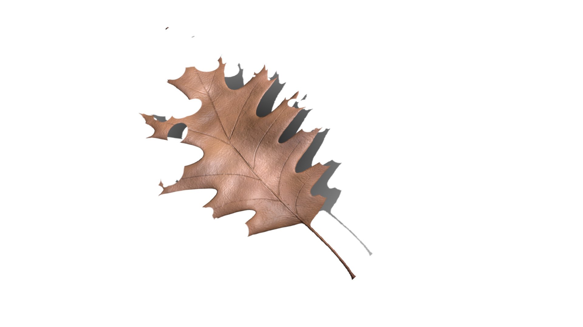 Realistic HD Red oak leaf litter (35/36) - Download Free 3D model by ...
