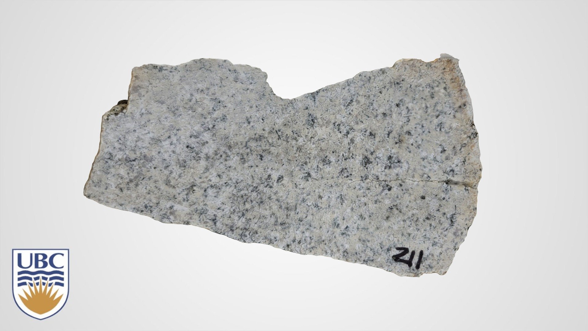 Skaergaard intrusion granophyre (SEB87-211) - 3D model by Nichole ...