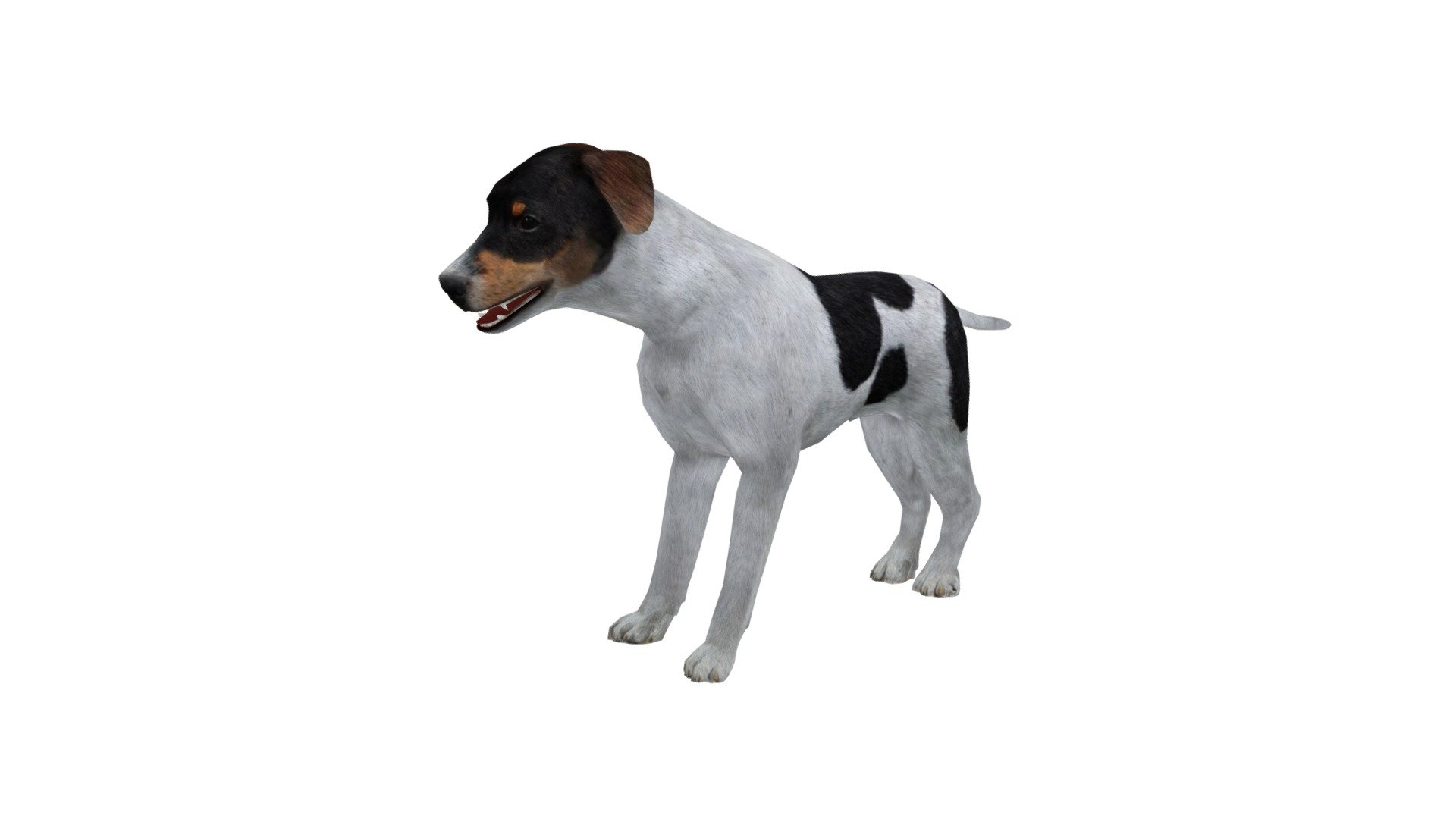 Dog - 3D model by 3DRT.com [637c31e] - Sketchfab