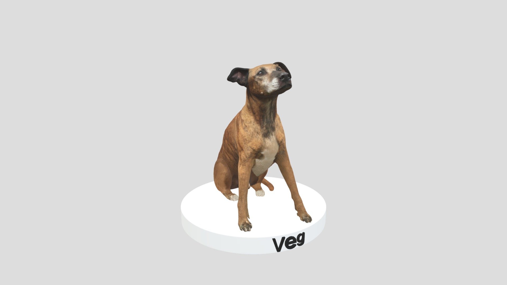 Veg the dog - 3D model by Holodeck 3D Studios (@Holodeck3DStudios ...