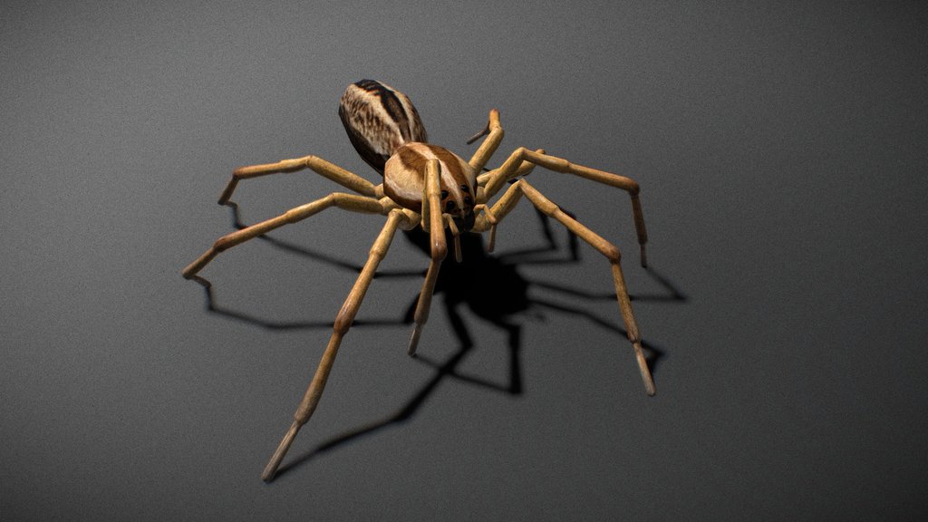 Horror - A 3D model collection by 3worldrecord - Sketchfab