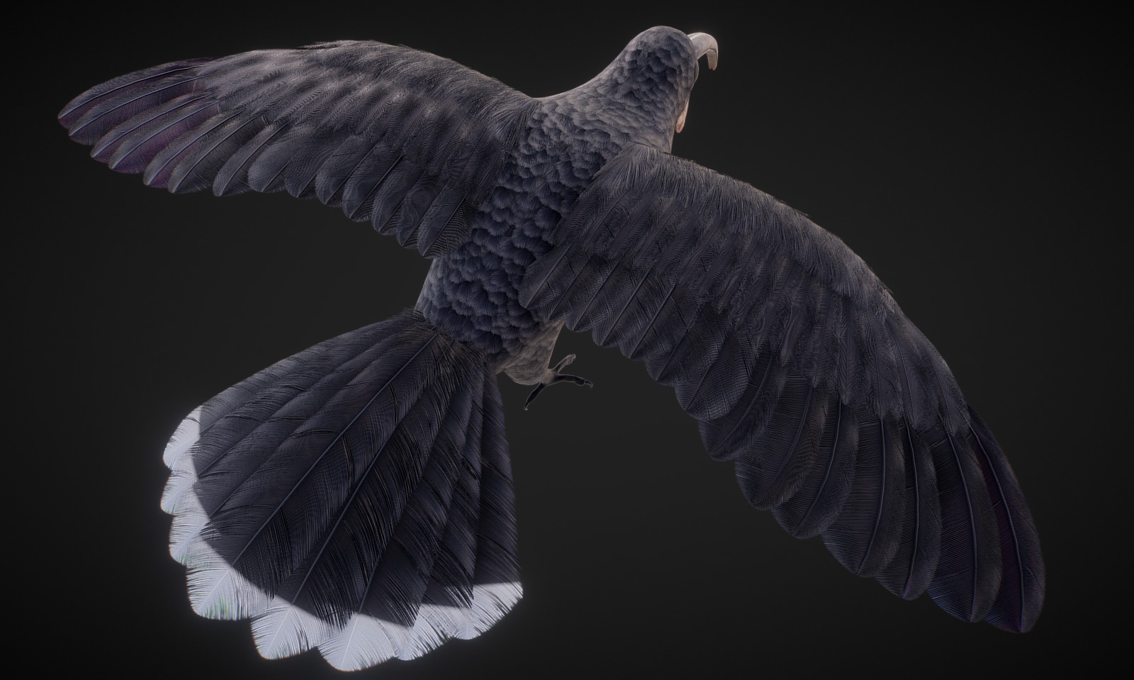 Huia T01 - 3D model by daniptex [6395b30] - Sketchfab