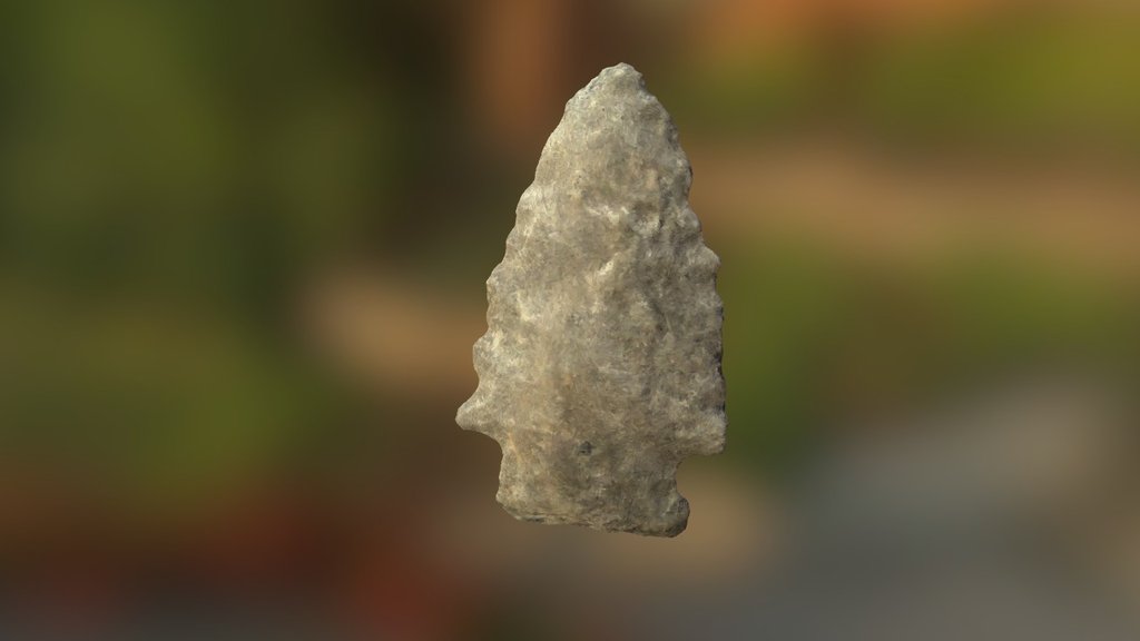 Rhyolite Projectile Point (VCU_3D_168) - 3D model by Virtual Curation ...