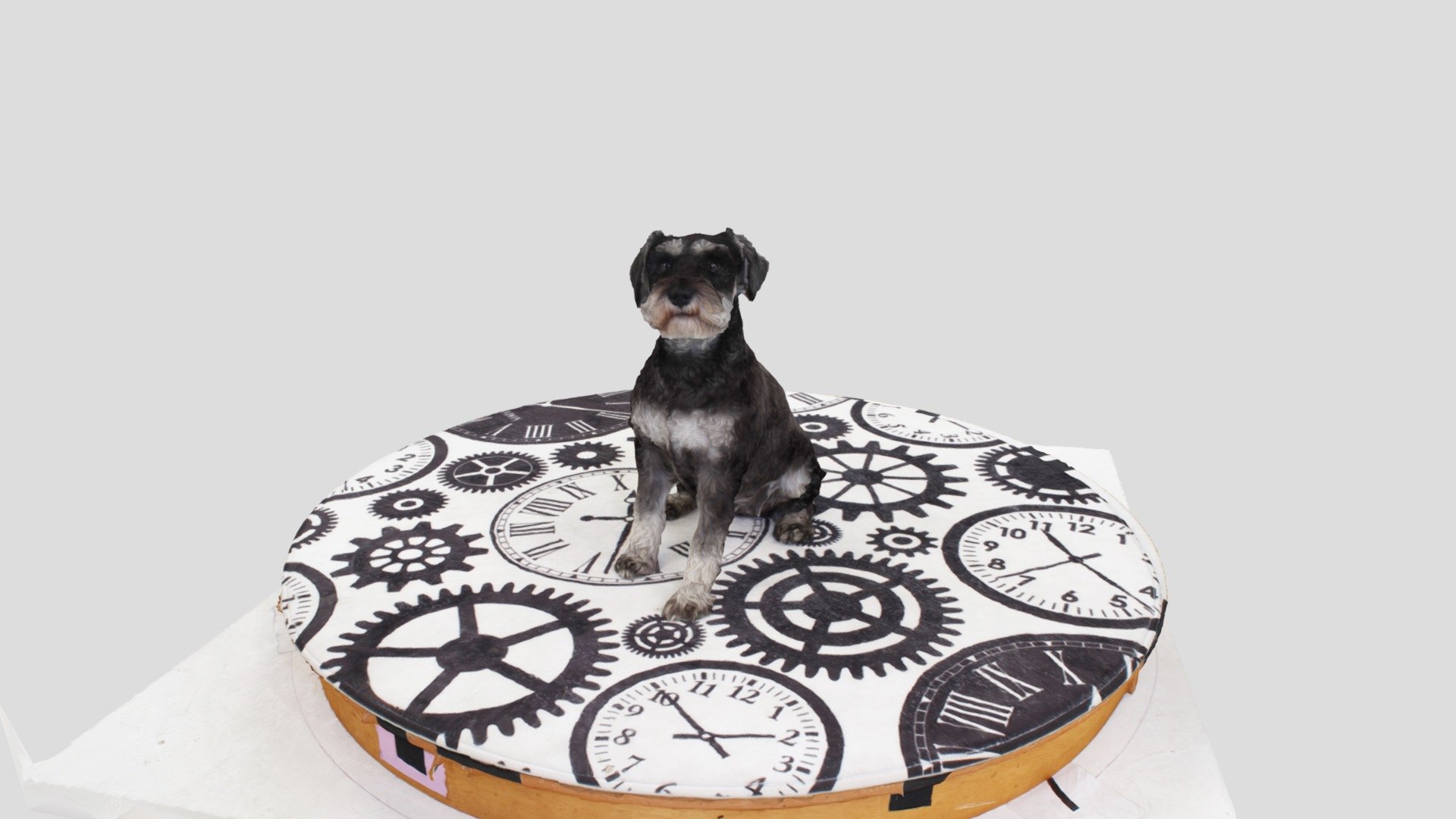 Unedited 3D capture of Lefty Sept 30th - 3D model by GravityB [6396f66 ...