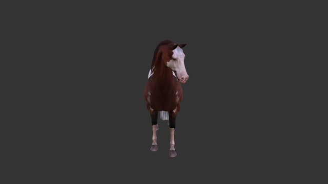 Gelding 3D models - Sketchfab
