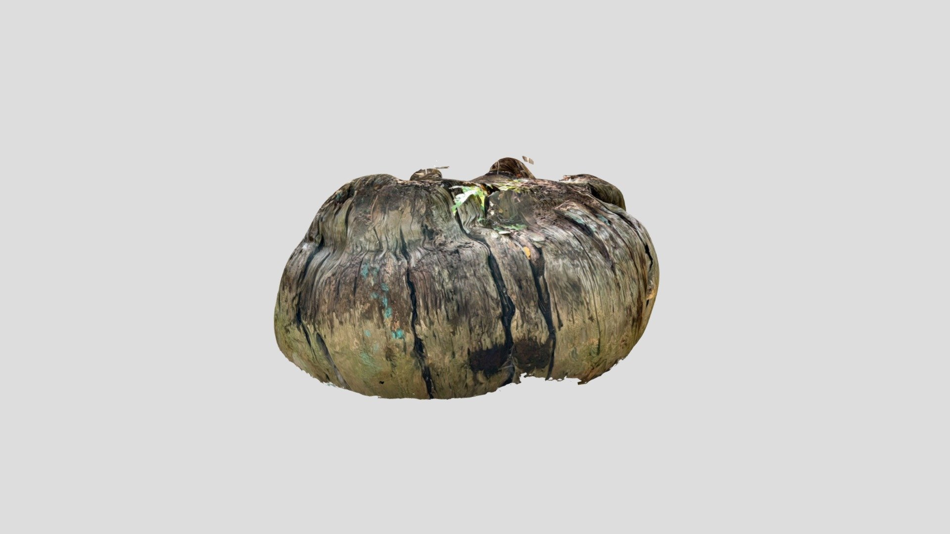Root - 3D Scan iPhone 12 Pro lidar - Download Free 3D model by irie ...