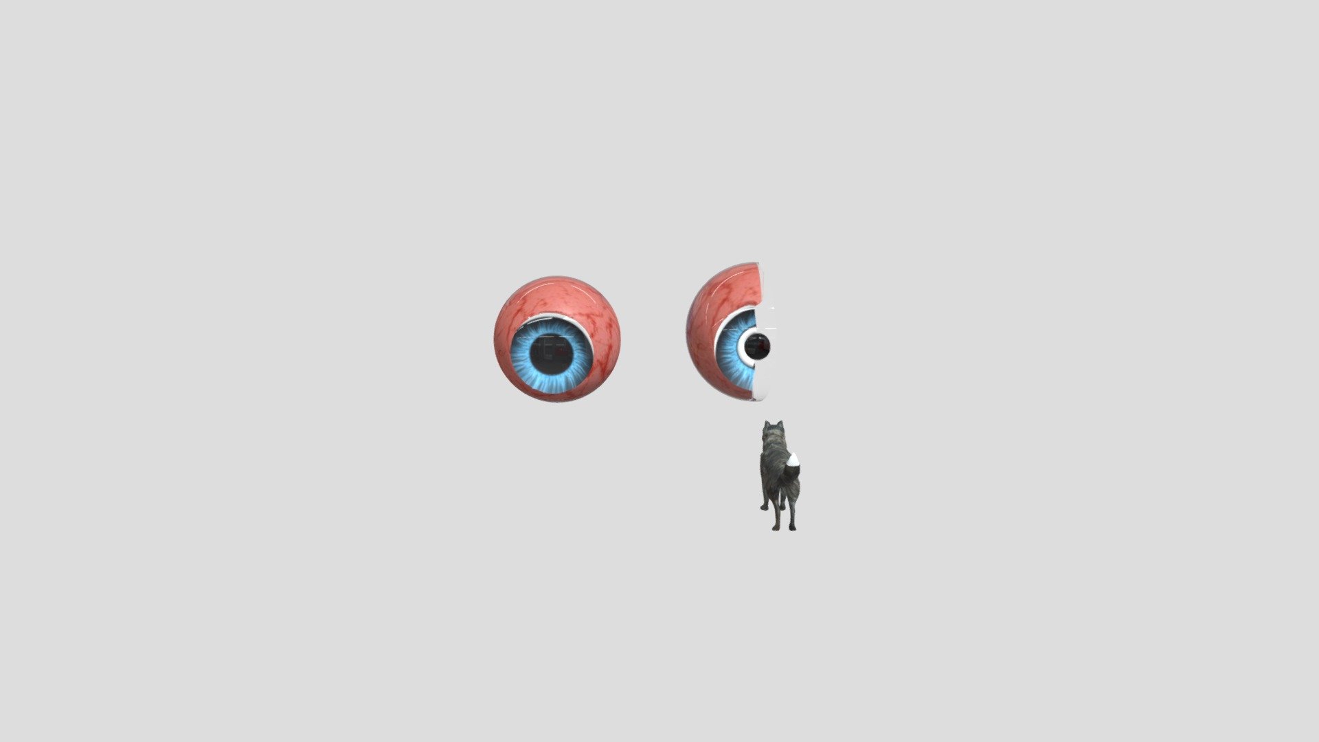 Mata Plus / Hipermetropi (Rabun Dekat) - 3D model by Laboratorium ...